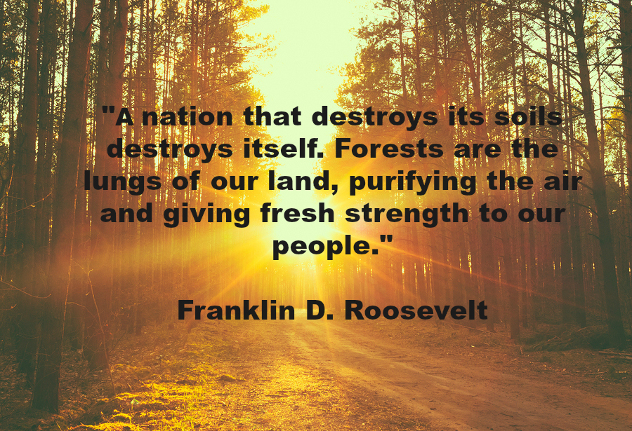 This Land is Your Land …9 Quotes by Famous Americans - Fill Your Plate