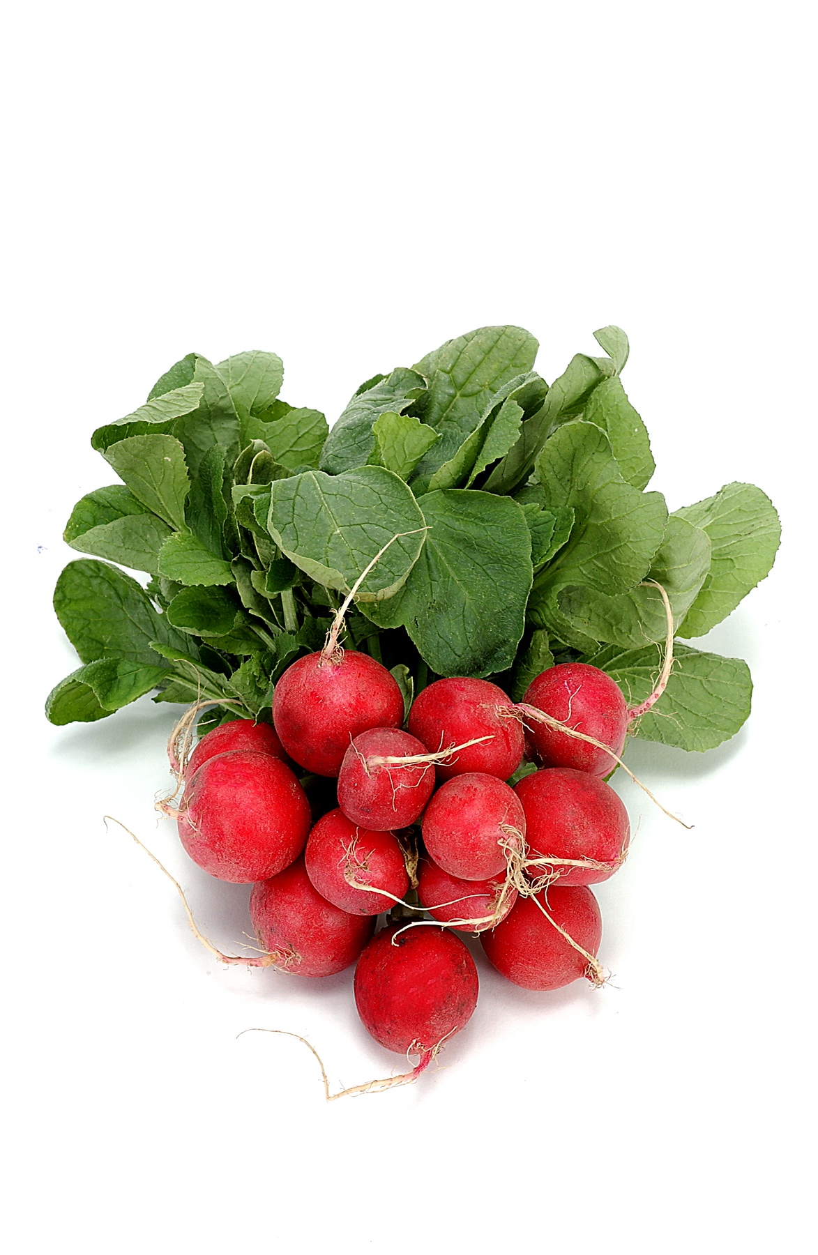 What’s In Season in Spring? - Fill Your Plate