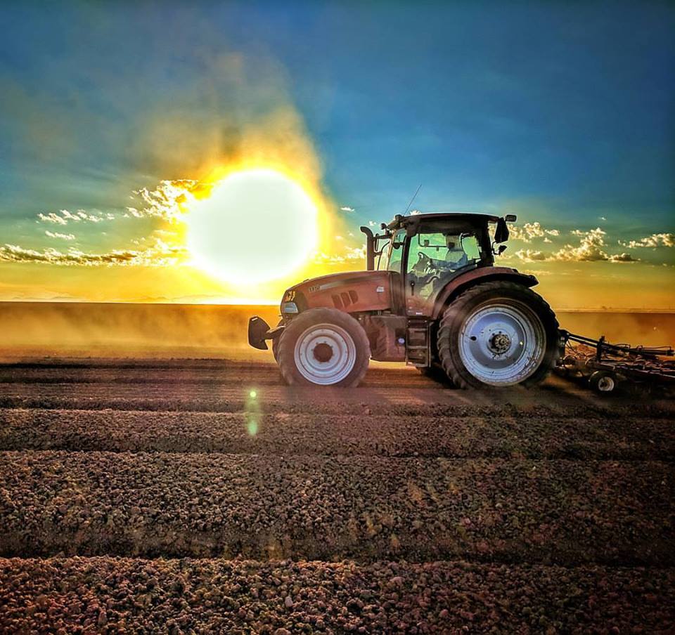 Arizona Agriculture is Beautiful - Fill Your Plate