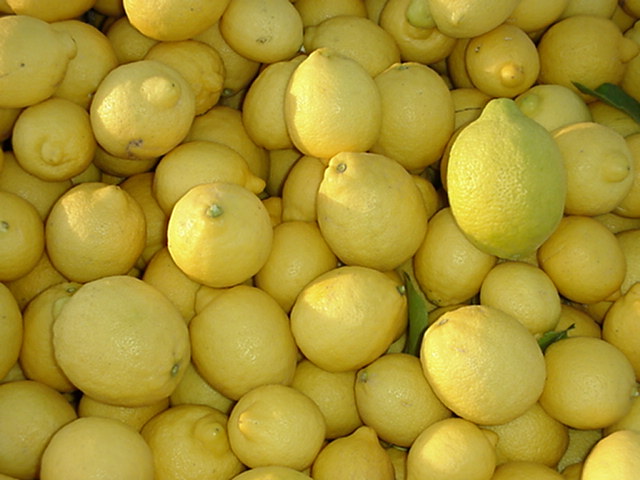 Arizona Lemons, Worthy of a “Pucker Up!” - Fill Your Plate