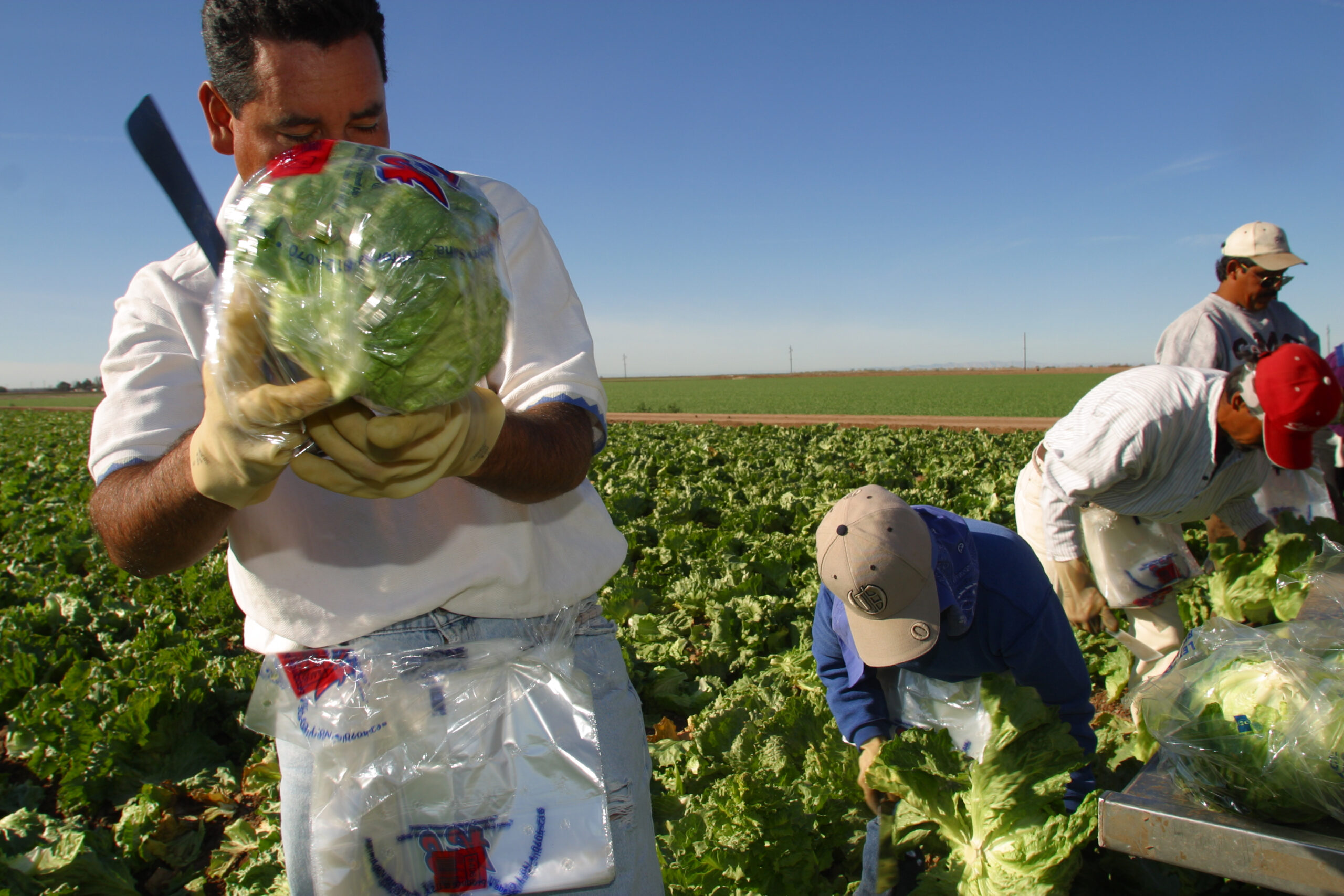 Arizona Works to Get More Crop Per Drop and Conserve Our Water - Fill ...