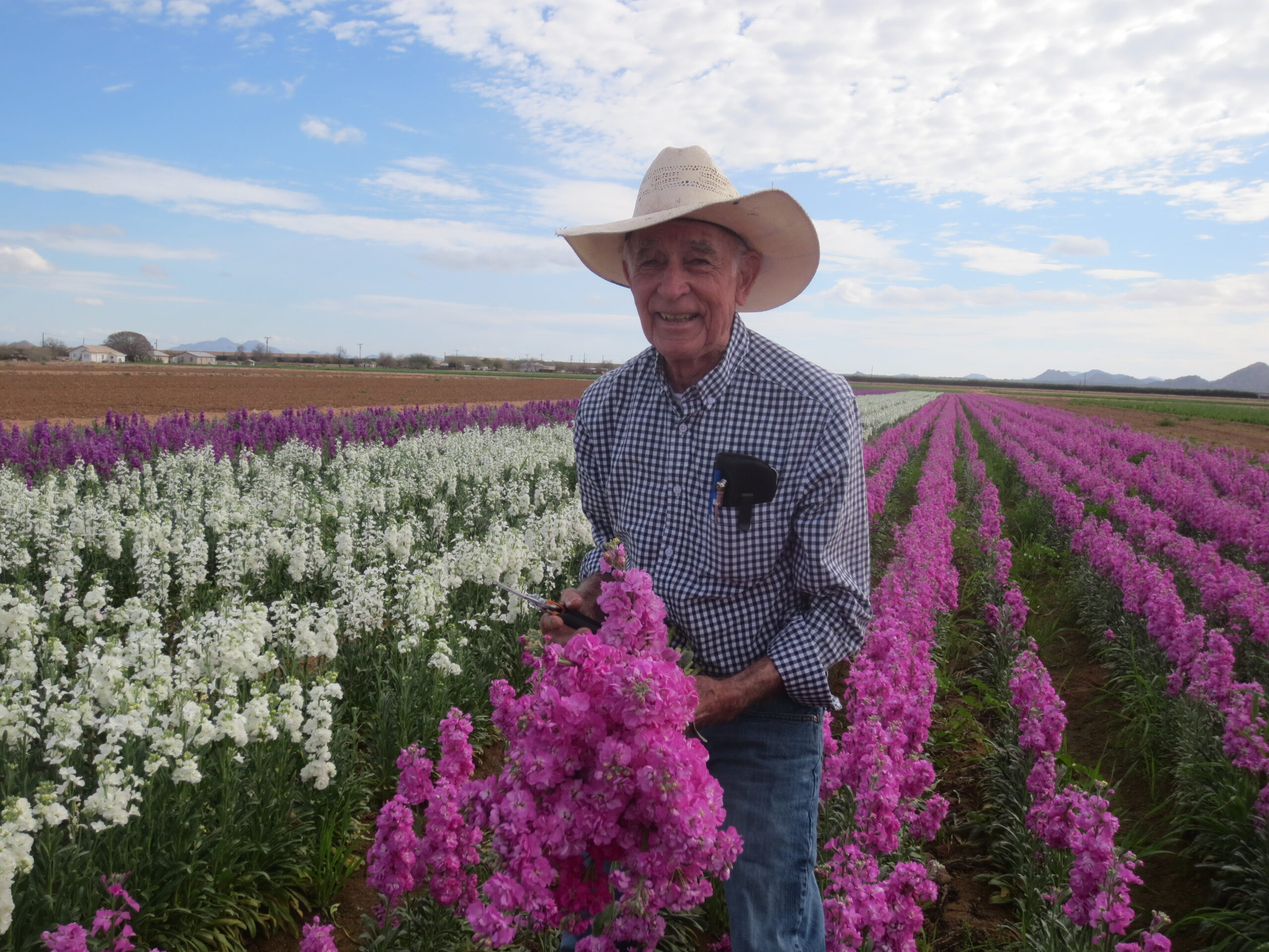Arizona Agriculture in Our Counties - Fill Your Plate